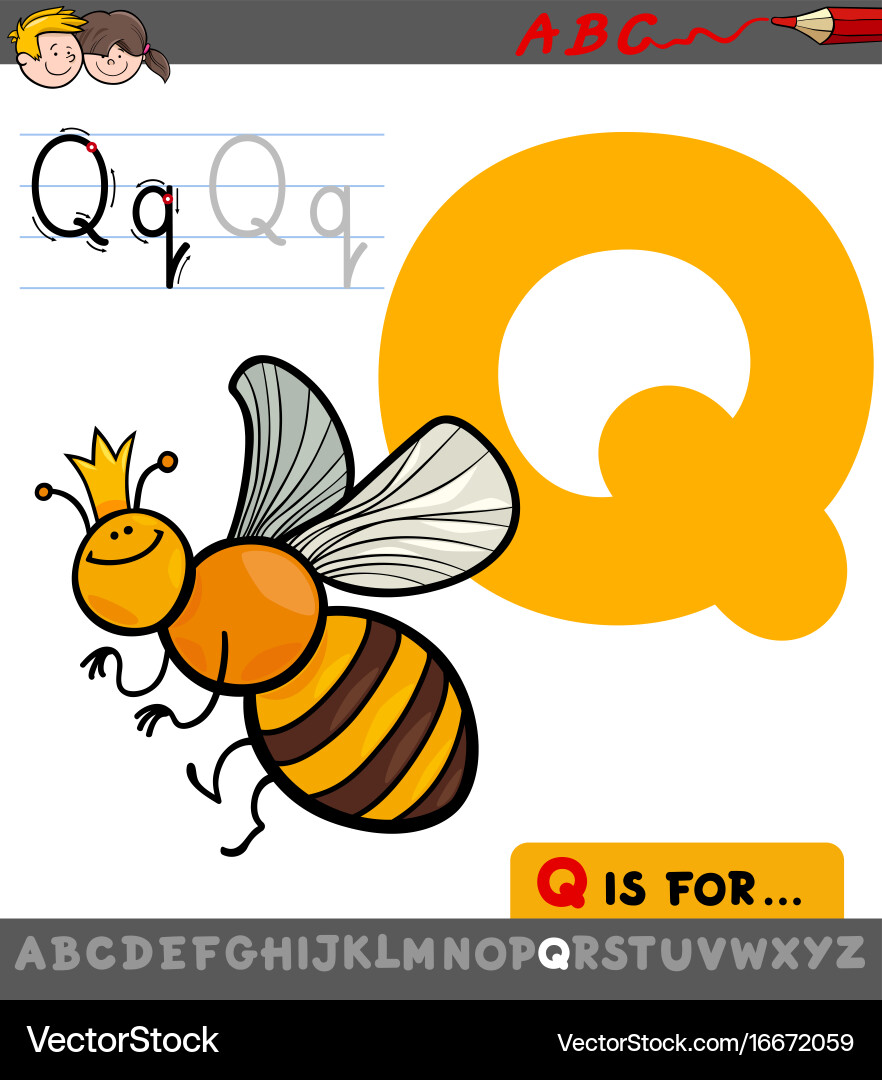 Letter q with cartoon quenn bee character Vector Image