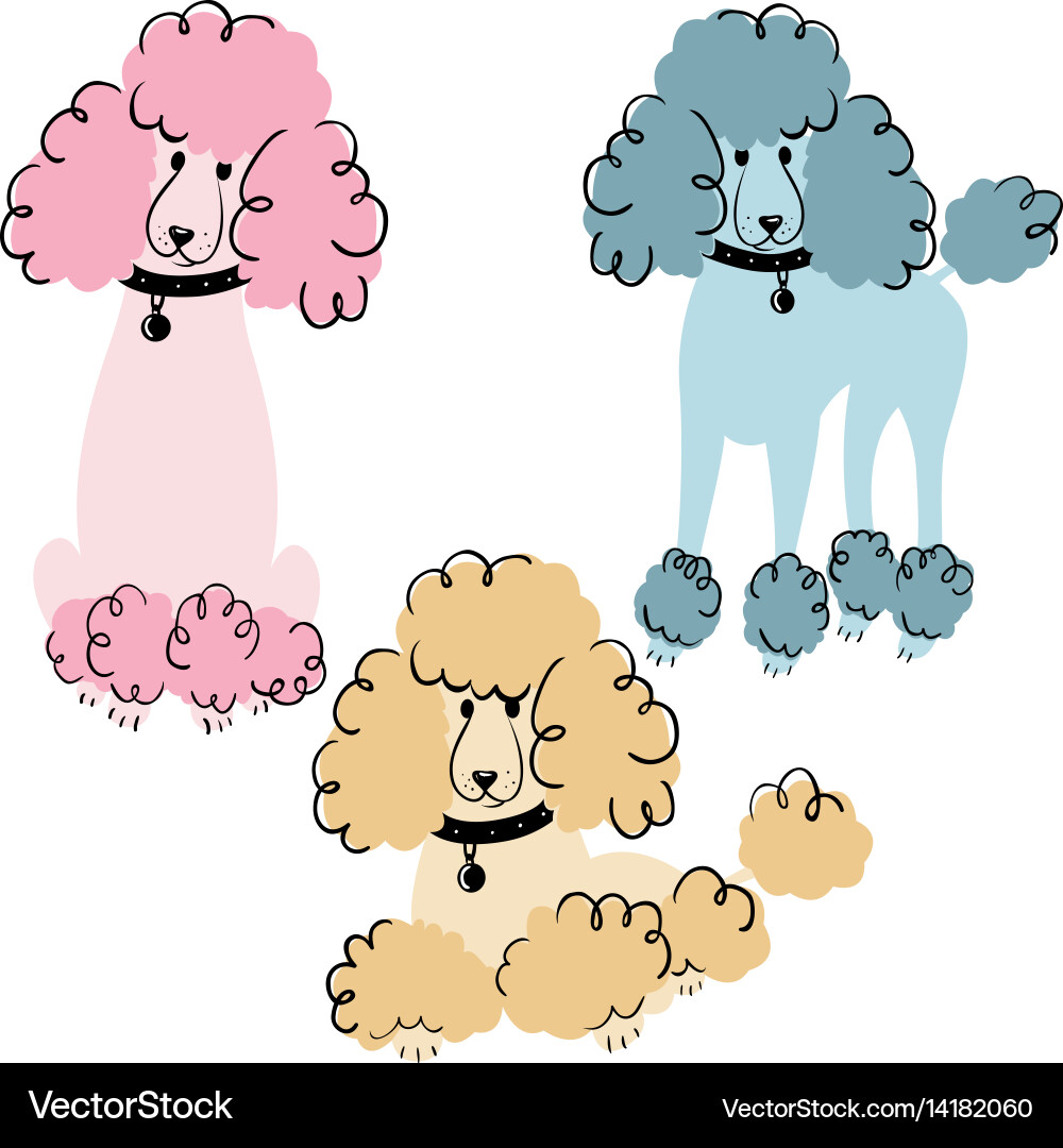 Poodle dogs Royalty Free Vector Image - VectorStock