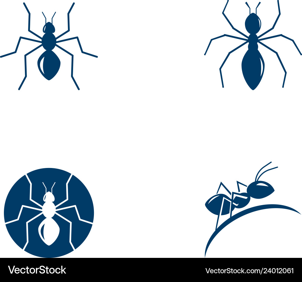 Ant design Royalty Free Vector Image - VectorStock