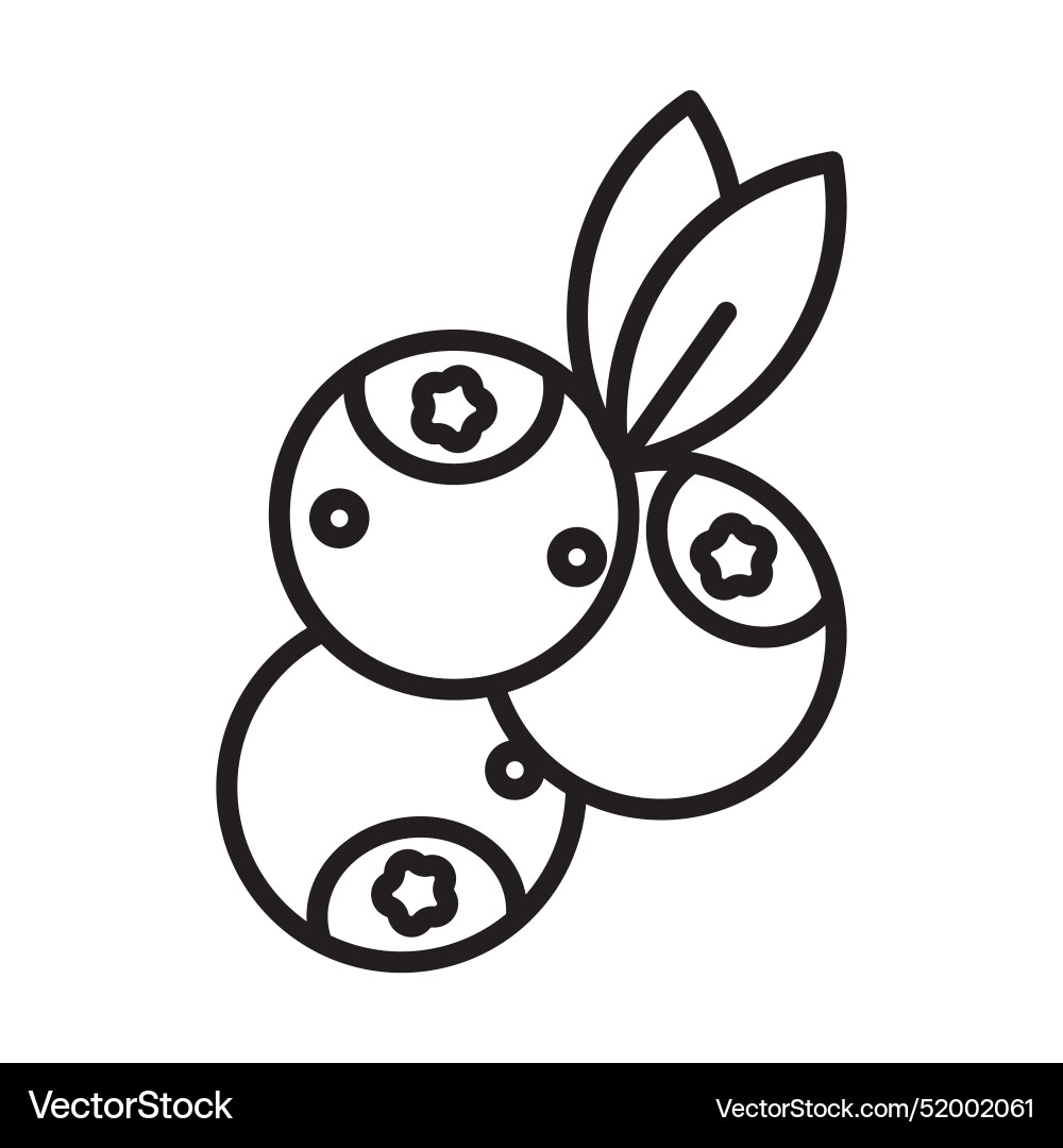 Blueberry icon line art Royalty Free Vector Image