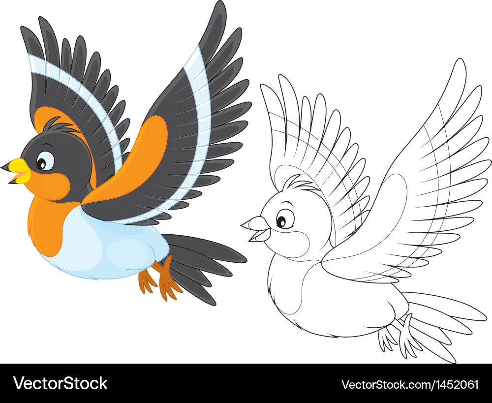 Bramble finch Royalty Free Vector Image - VectorStock