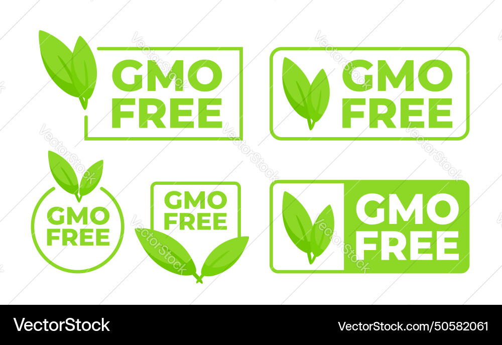 Set of green gmo free labels and logos with leaf Vector Image
