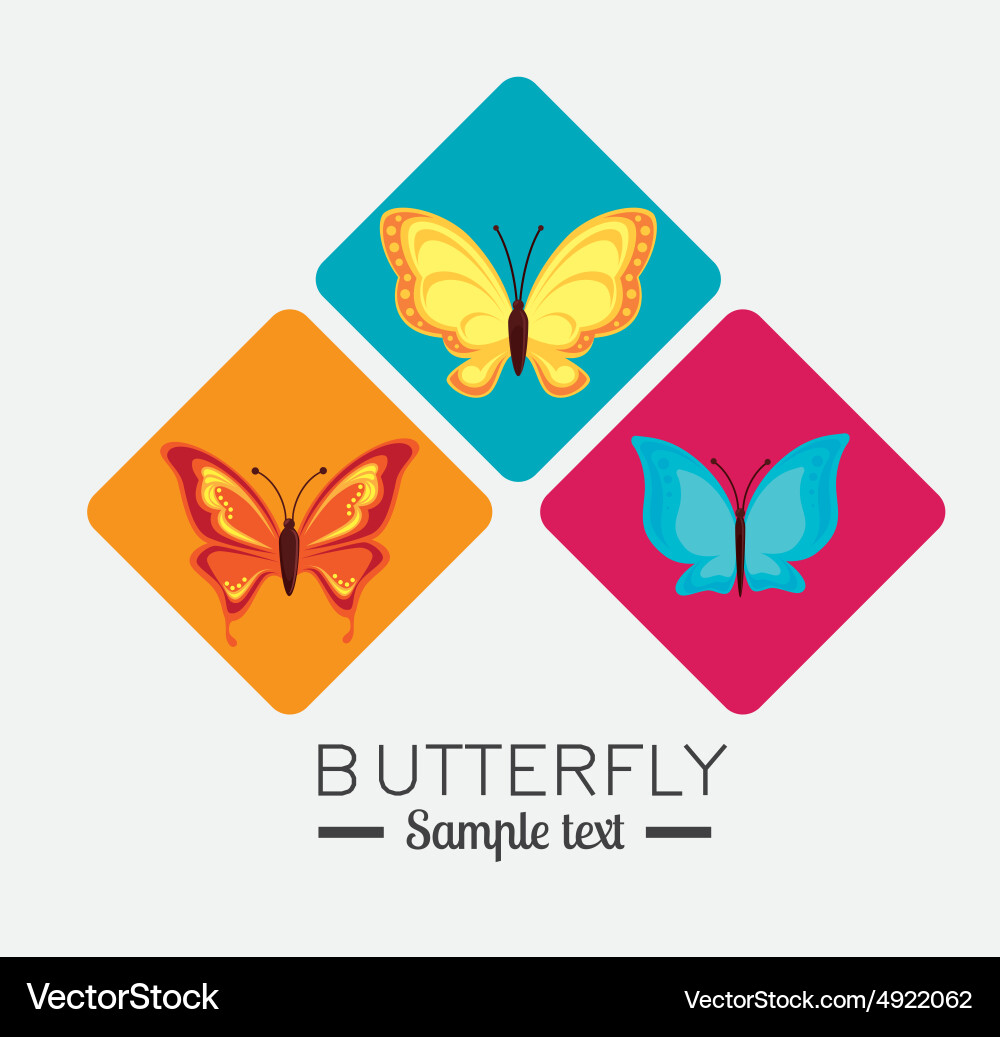 Butterfly design Royalty Free Vector Image - VectorStock