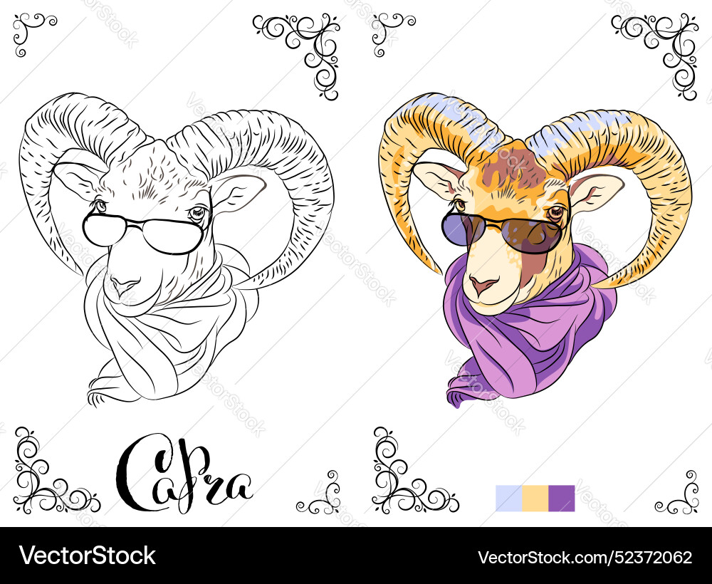 Coloring book page capra with sunglasses Vector Image