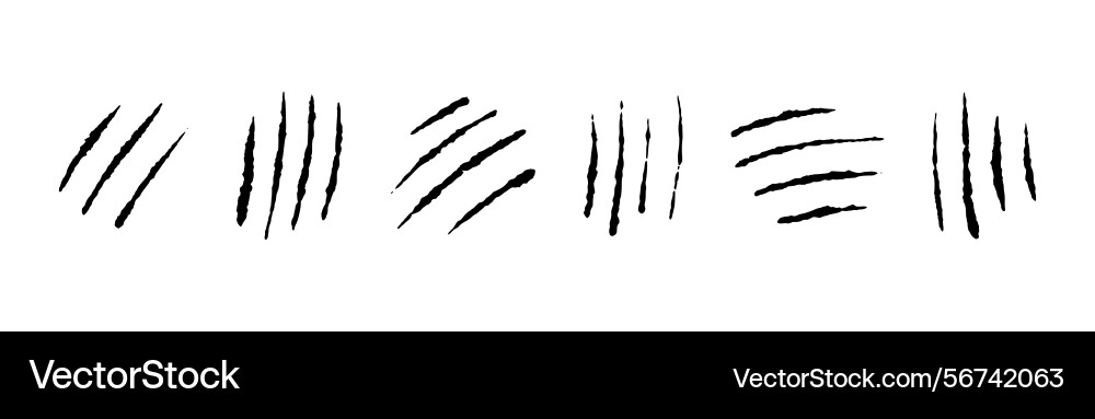 Tiger scratch marks with wild animal claw texture Vector Image