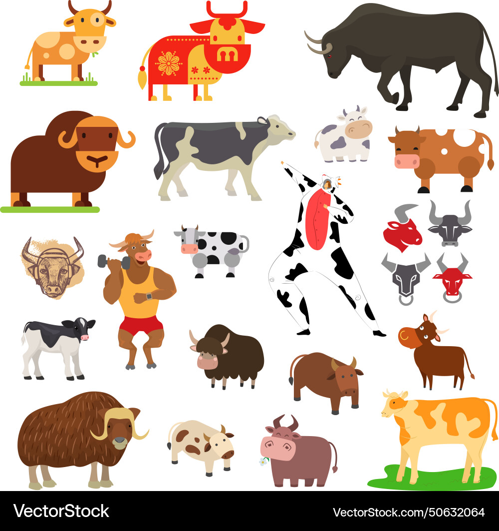 Assorted cow breeds styles including cartoon Vector Image
