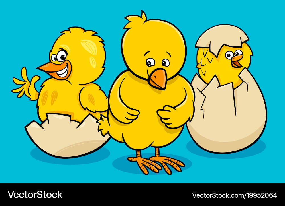Cartoon little chickens hatching from eggs Vector Image