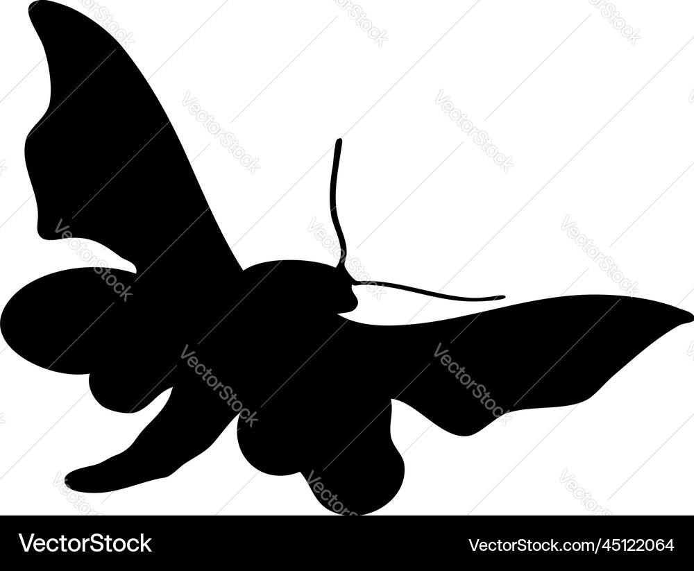 Moth silhouette Royalty Free Vector Image - VectorStock