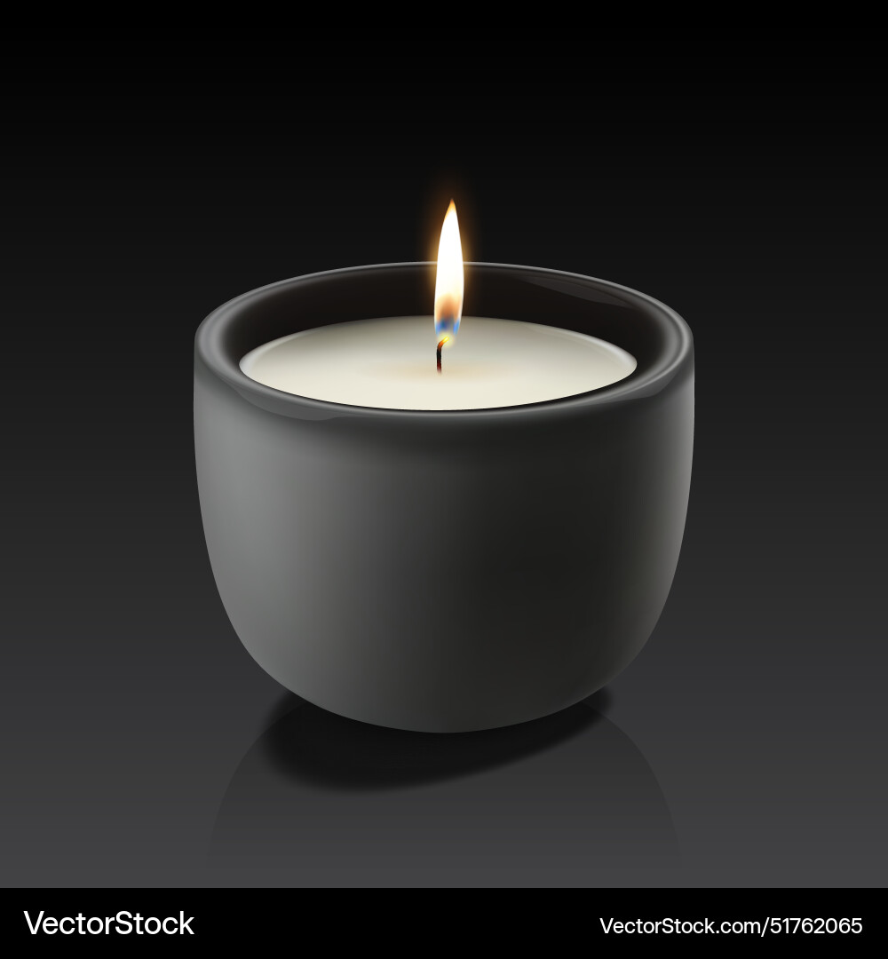 3d realistic paraffin wax burning party spa Vector Image