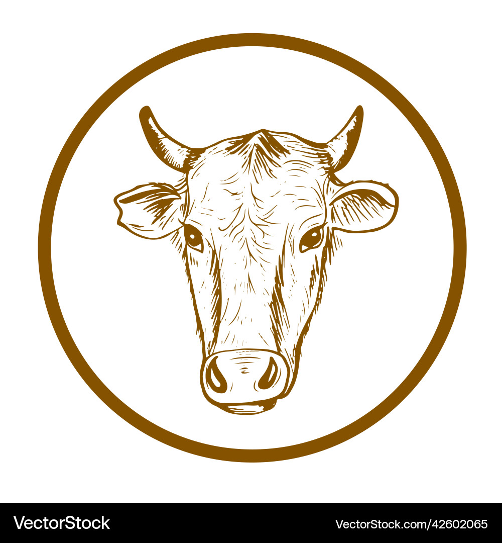 Cow head livestock Royalty Free Vector Image - VectorStock