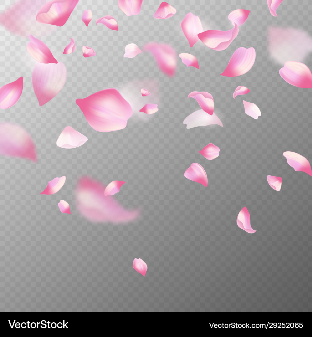 Soft Pink Flowers Vector Images (over 6,500)