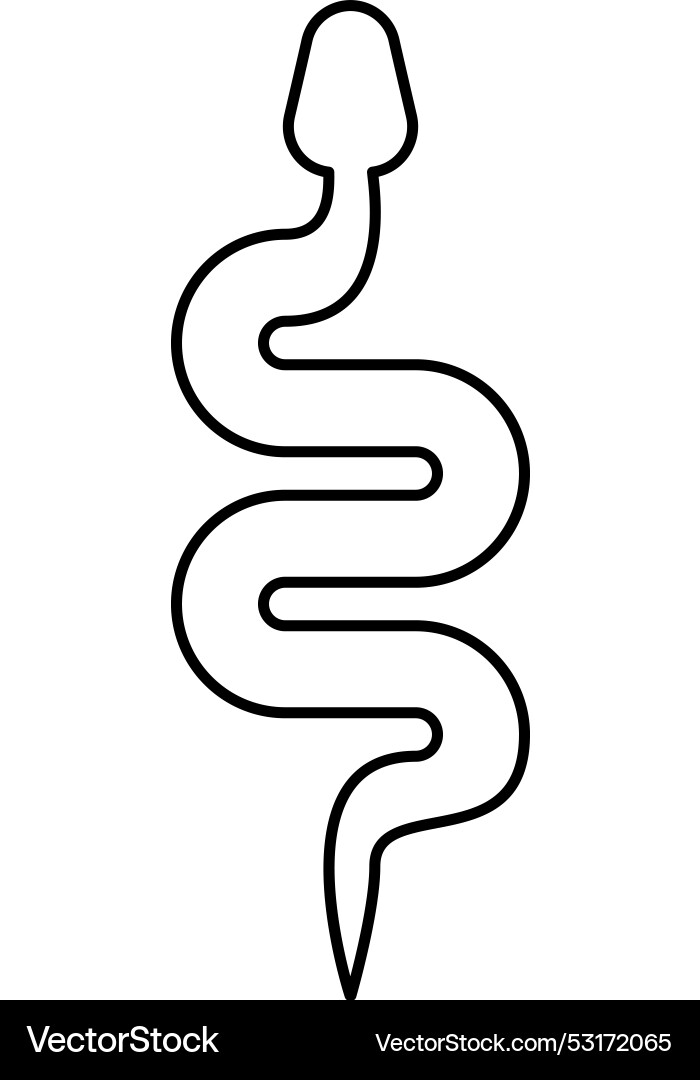Snake silhouette contour outline line icon black Vector Image