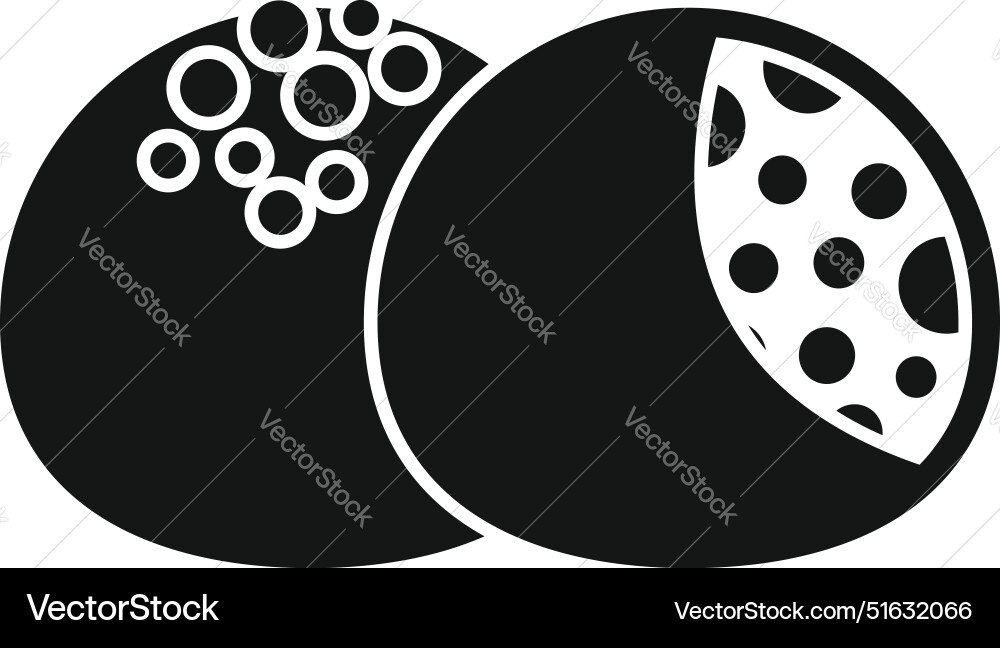 Black and white icon style Royalty Free Vector Image