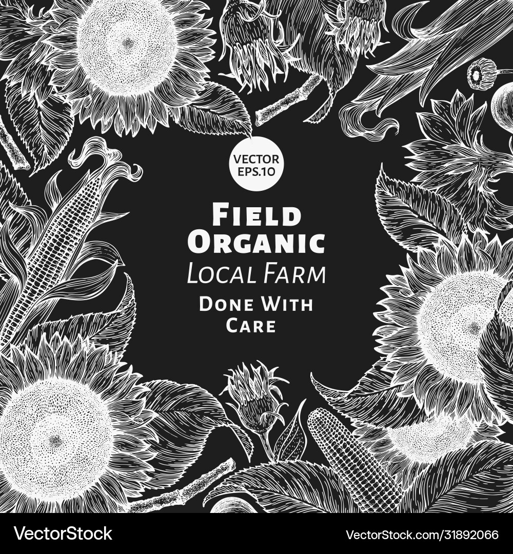 Hand drawn sunflower design template farm plants Vector Image