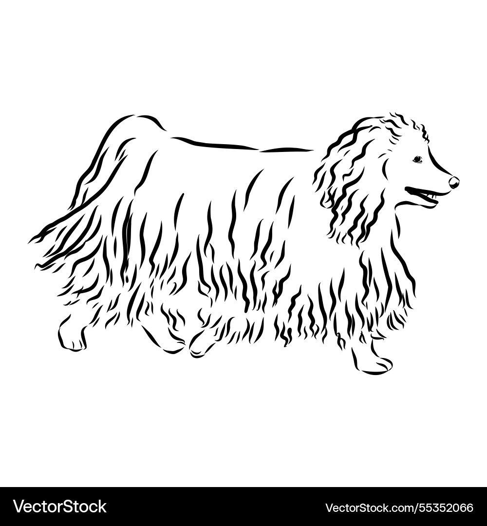 Minimalist puli dog logo design modern line art Vector Image