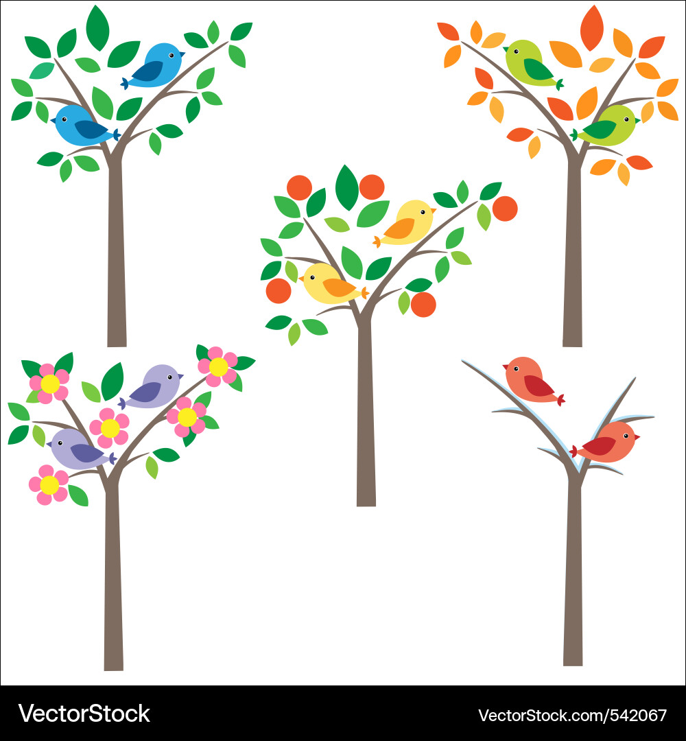 Birds Royalty Free Vector Image - VectorStock