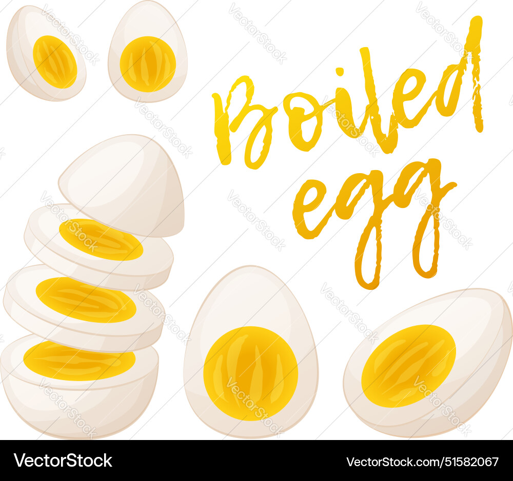 Boiled egg without shell icon cooked eggs Vector Image