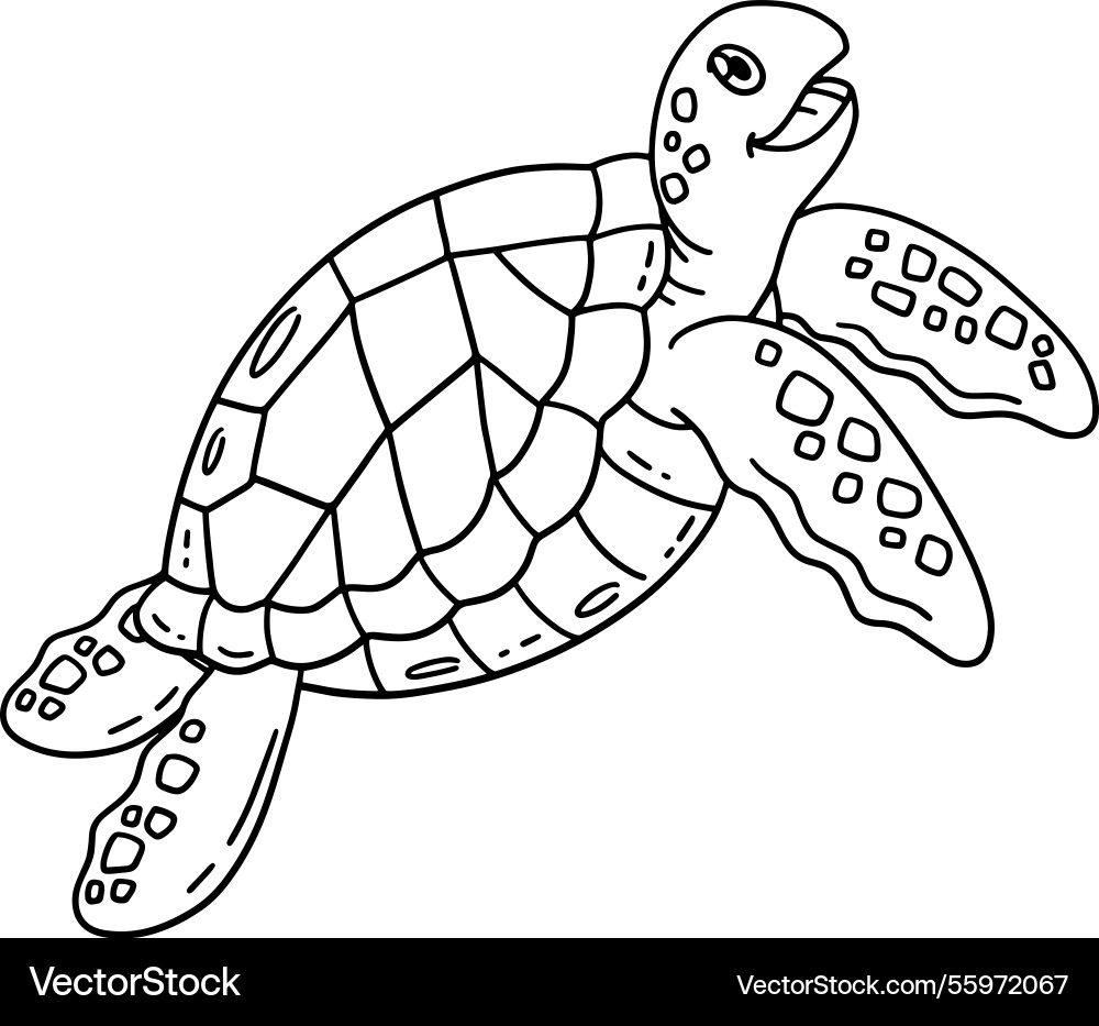Happy turtle isolated coloring page for kids Vector Image
