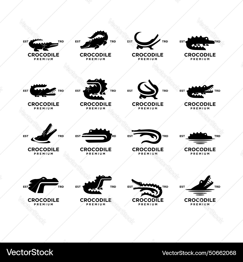Crocodile logo icon design Royalty Free Vector Image