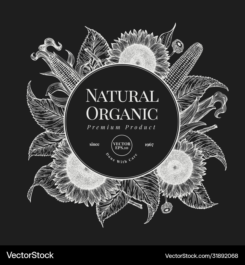 Hand drawn sunflower design template farm plants Vector Image