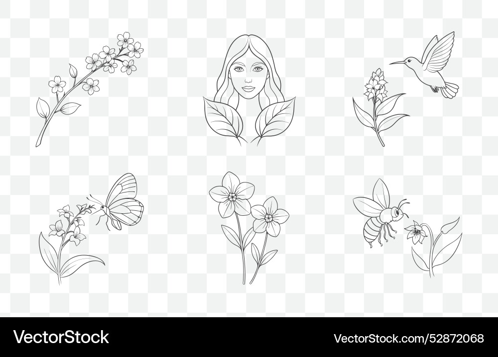 Print veronica flower detailed line art set Vector Image