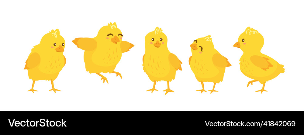 Happy yellow chicks set Royalty Free Vector Image