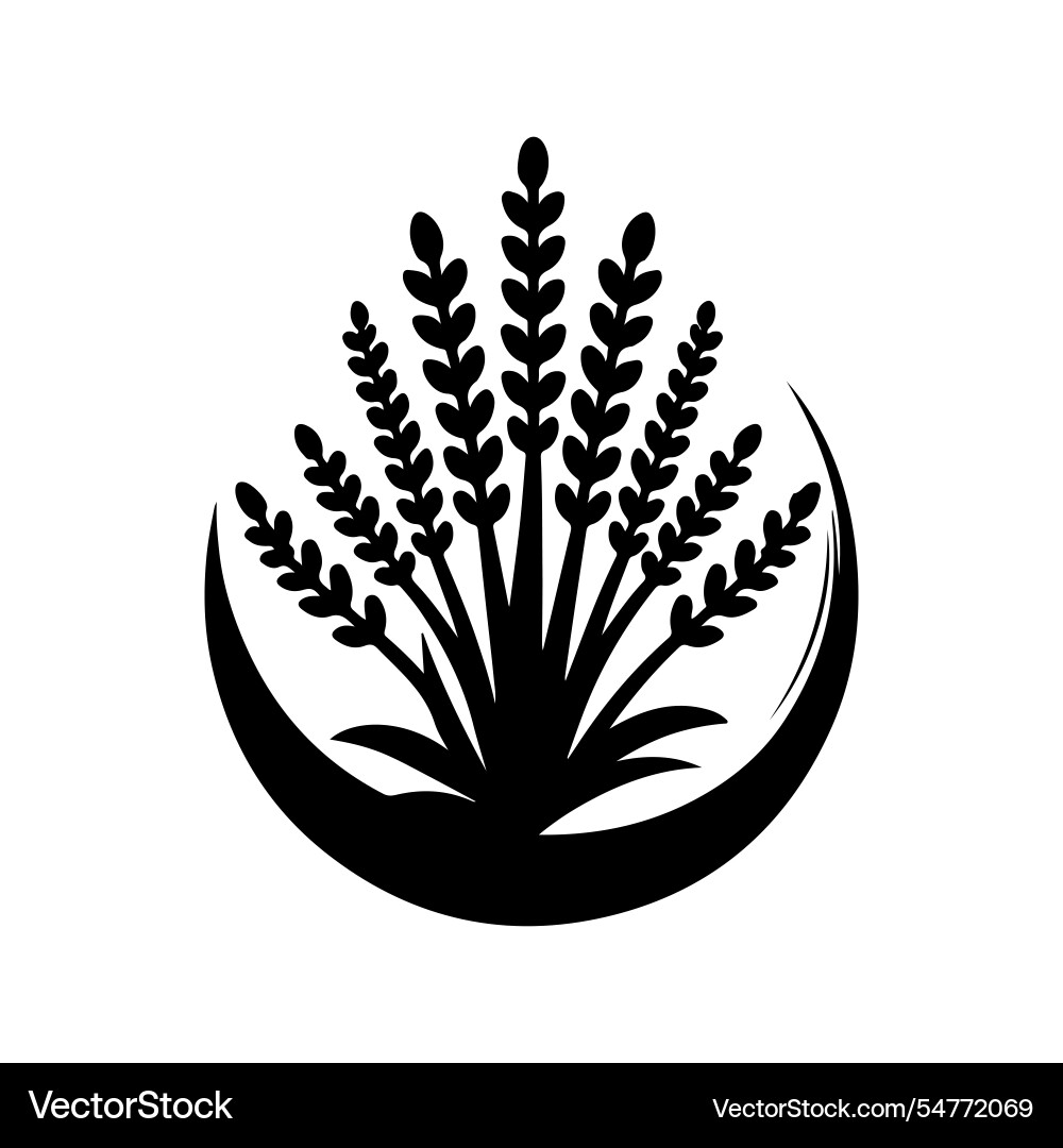 Heather silhouette elegant botanical Royalty Free Vector