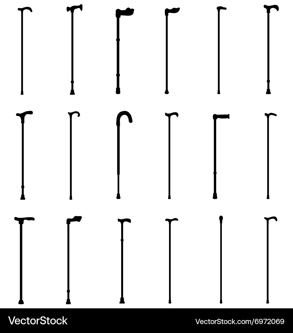 Walking sticks Royalty Free Vector Image - VectorStock