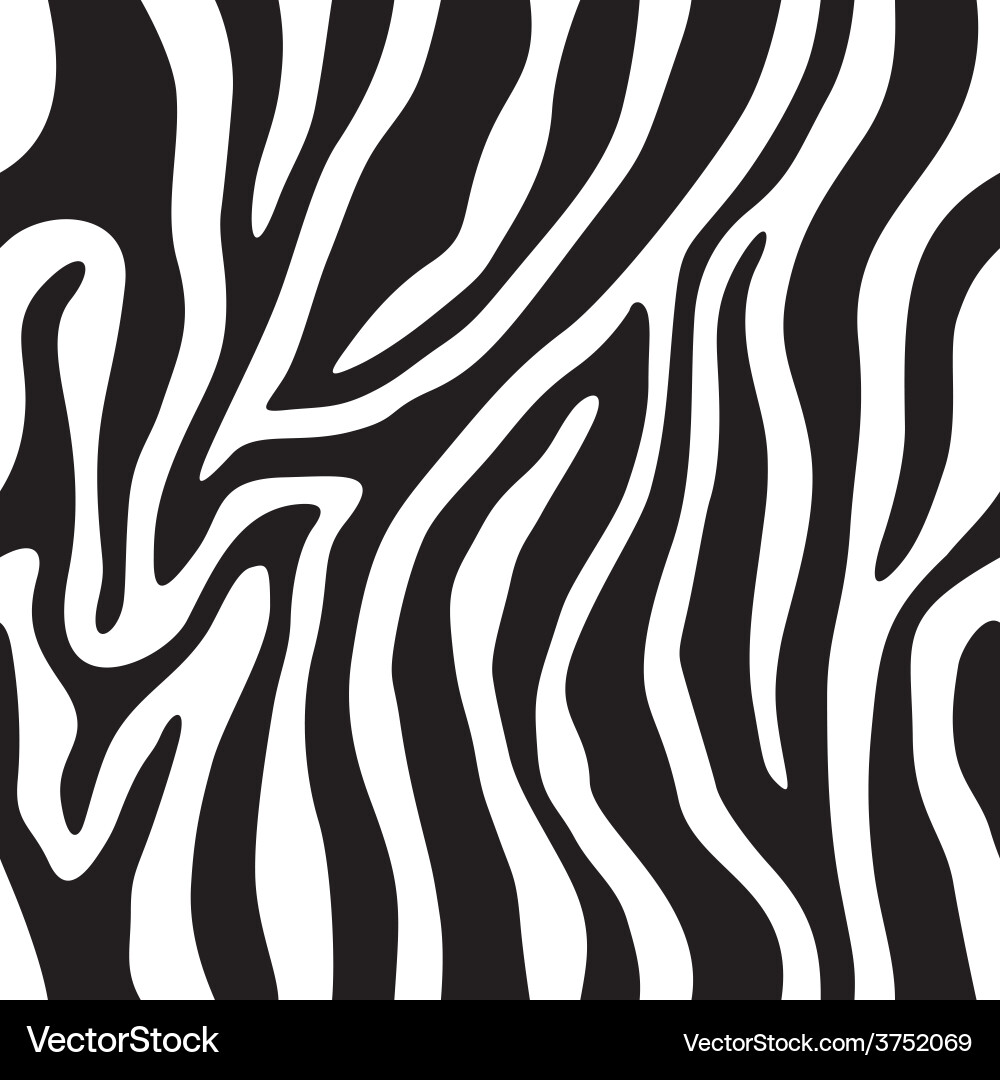 Zebra pattern Royalty Free Vector Image - VectorStock