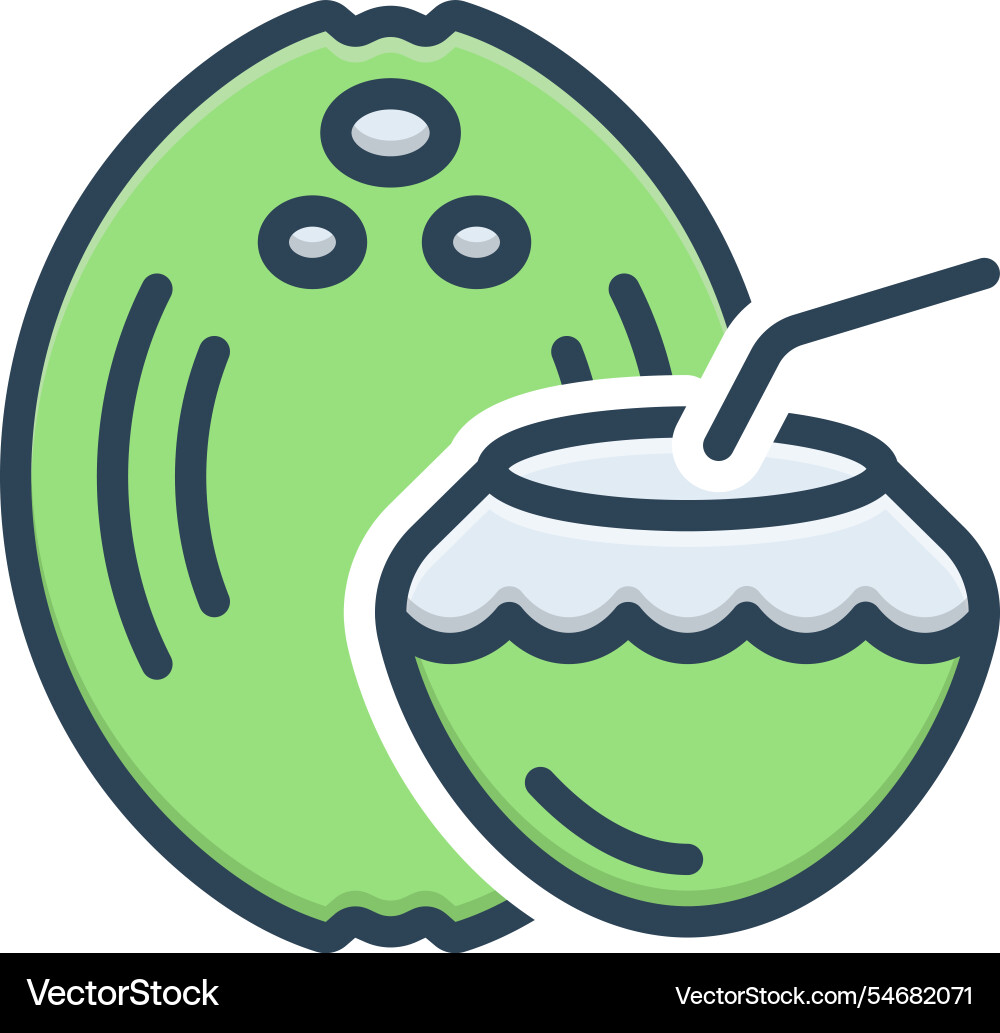 Coconut Royalty Free Vector Image - VectorStock