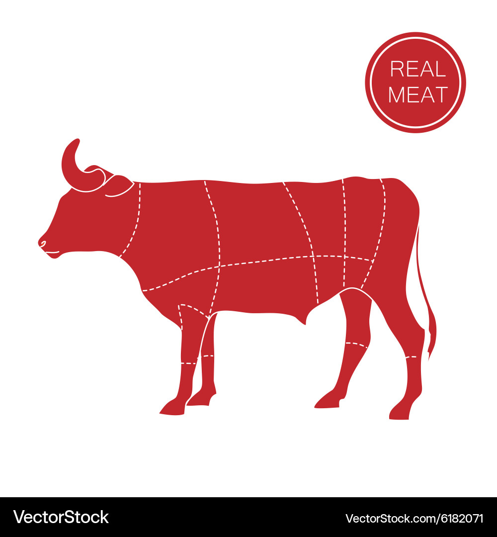Fresh Meat Selection Royalty Free Vector Image