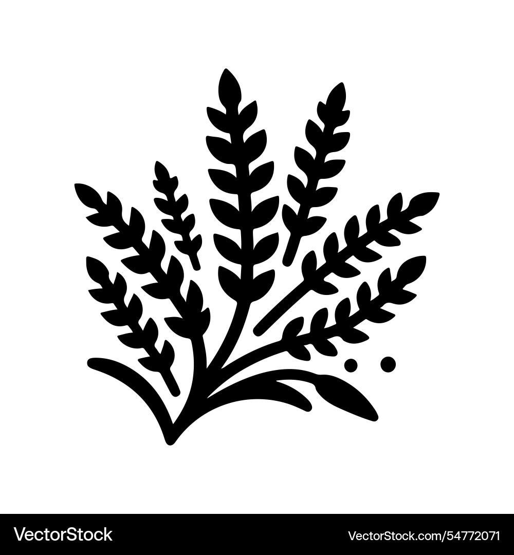 Heather silhouette elegant botanical Royalty Free Vector