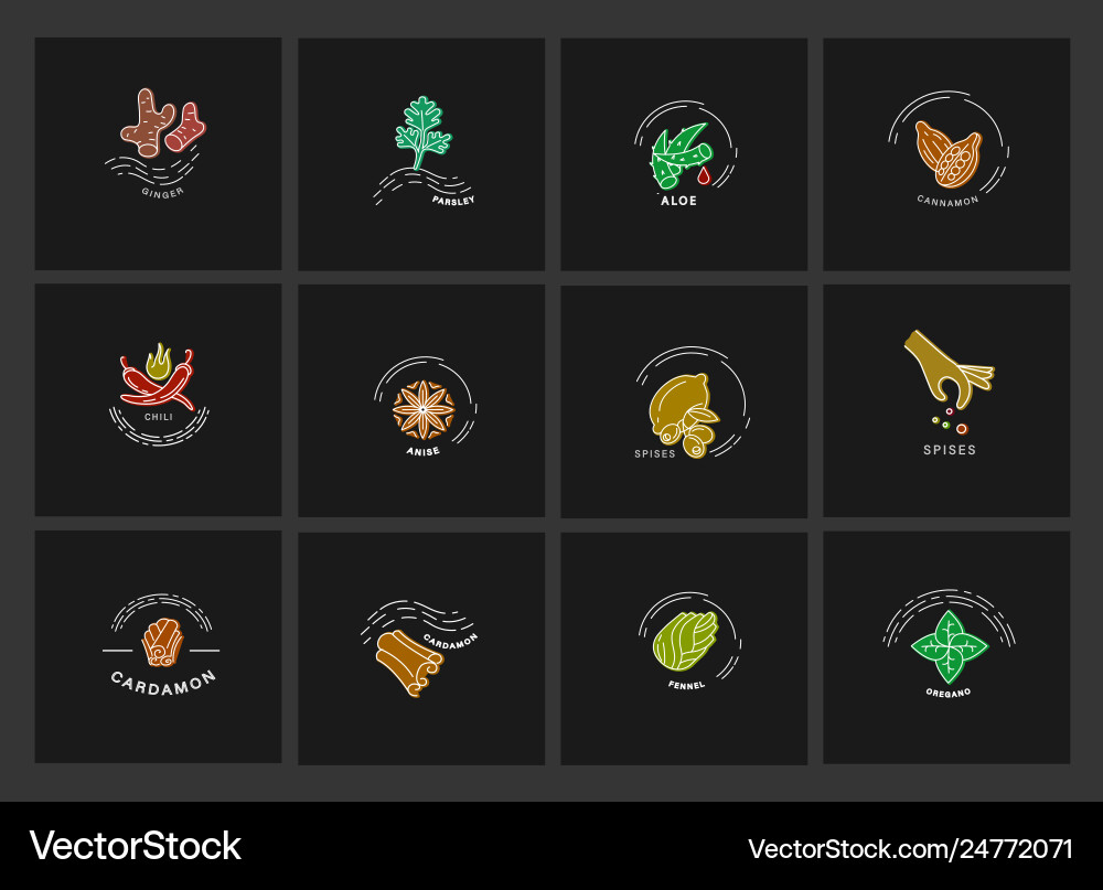 Icon and logo for spices herbs Royalty Free Vector Image