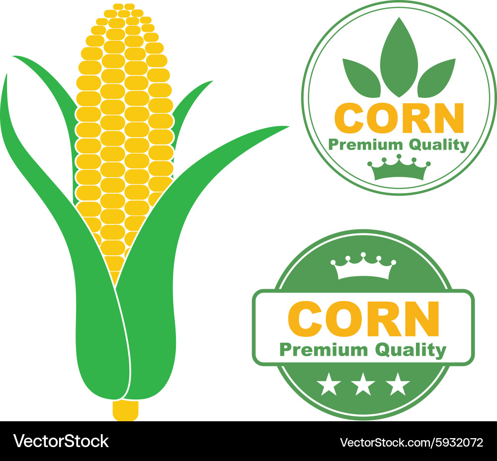 Corn Royalty Free Vector Image - VectorStock