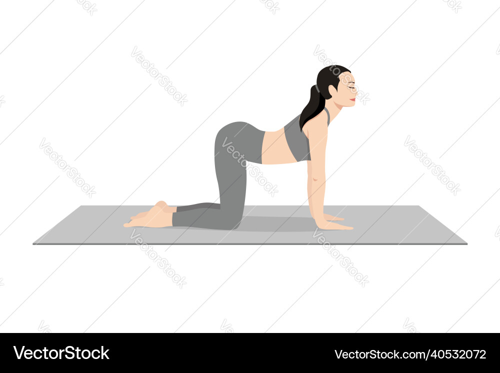 Cow pose bitilasana Royalty Free Vector Image - VectorStock