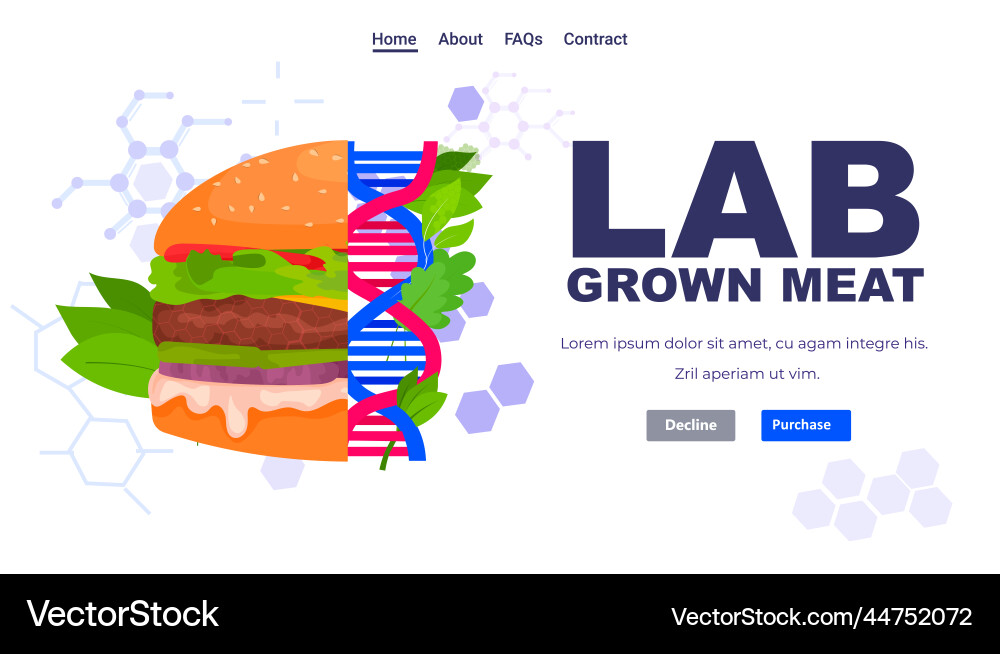 Cultured beef burger made from animal cells Vector Image