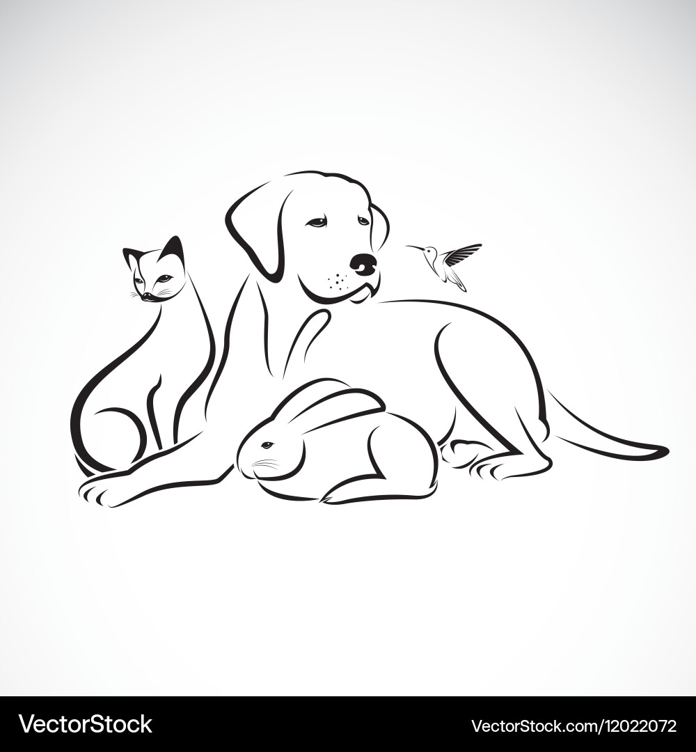 Group of pets on white background Royalty Free Vector Image