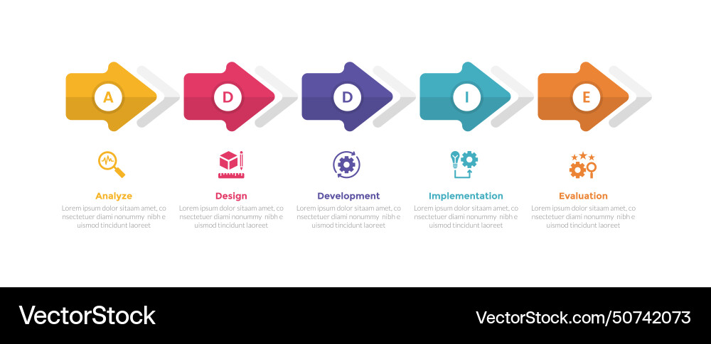 Addie learning development model infographics Vector Image