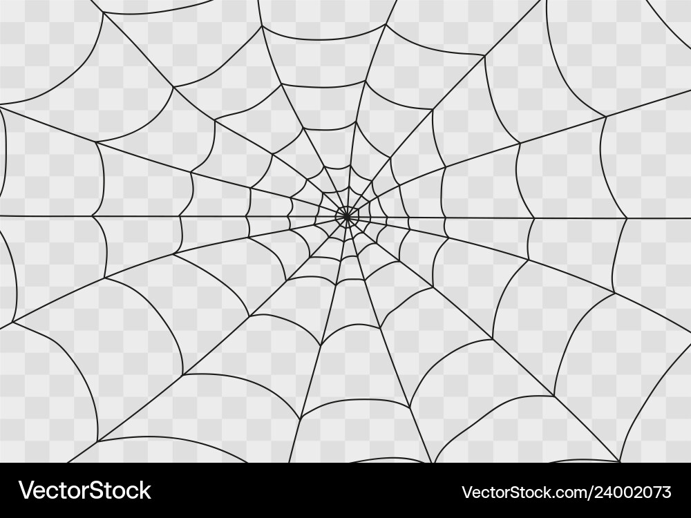 Cobweb isolated on white Royalty Free Vector Image