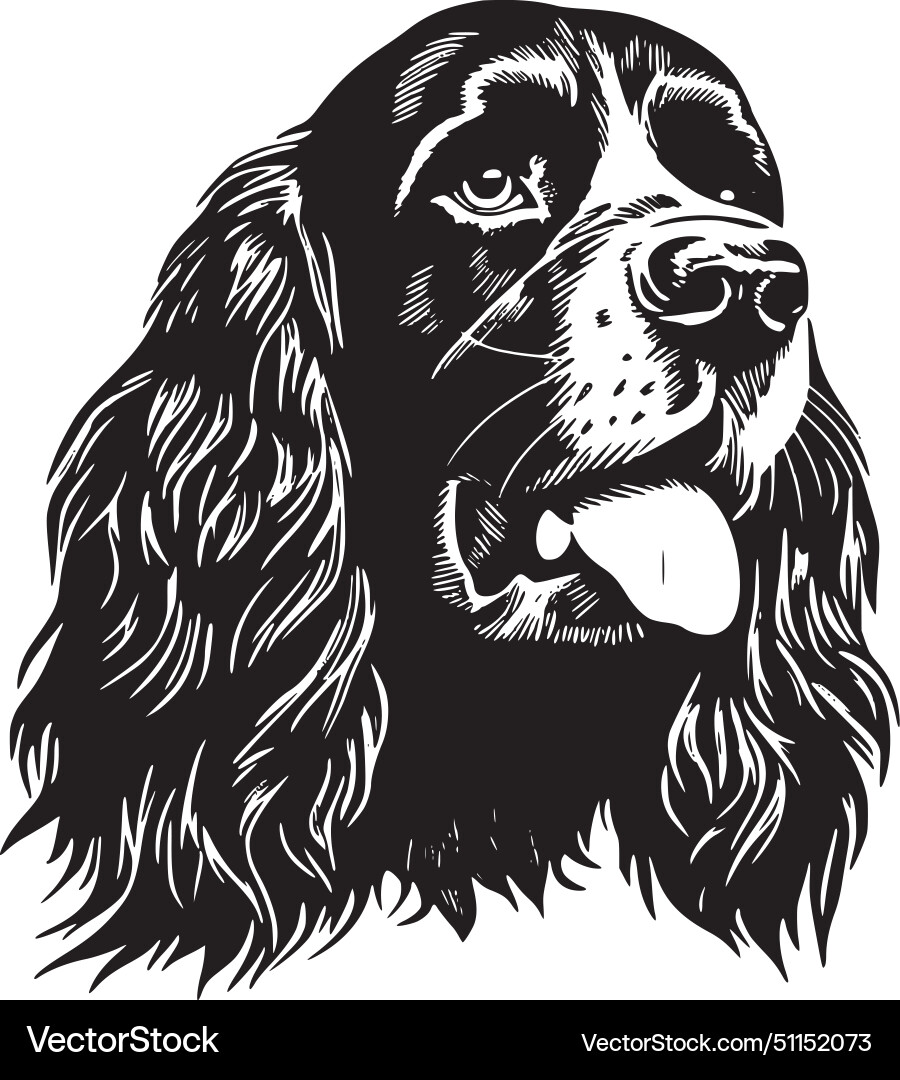 Cocker spaniel - high quality logo ideal Vector Image