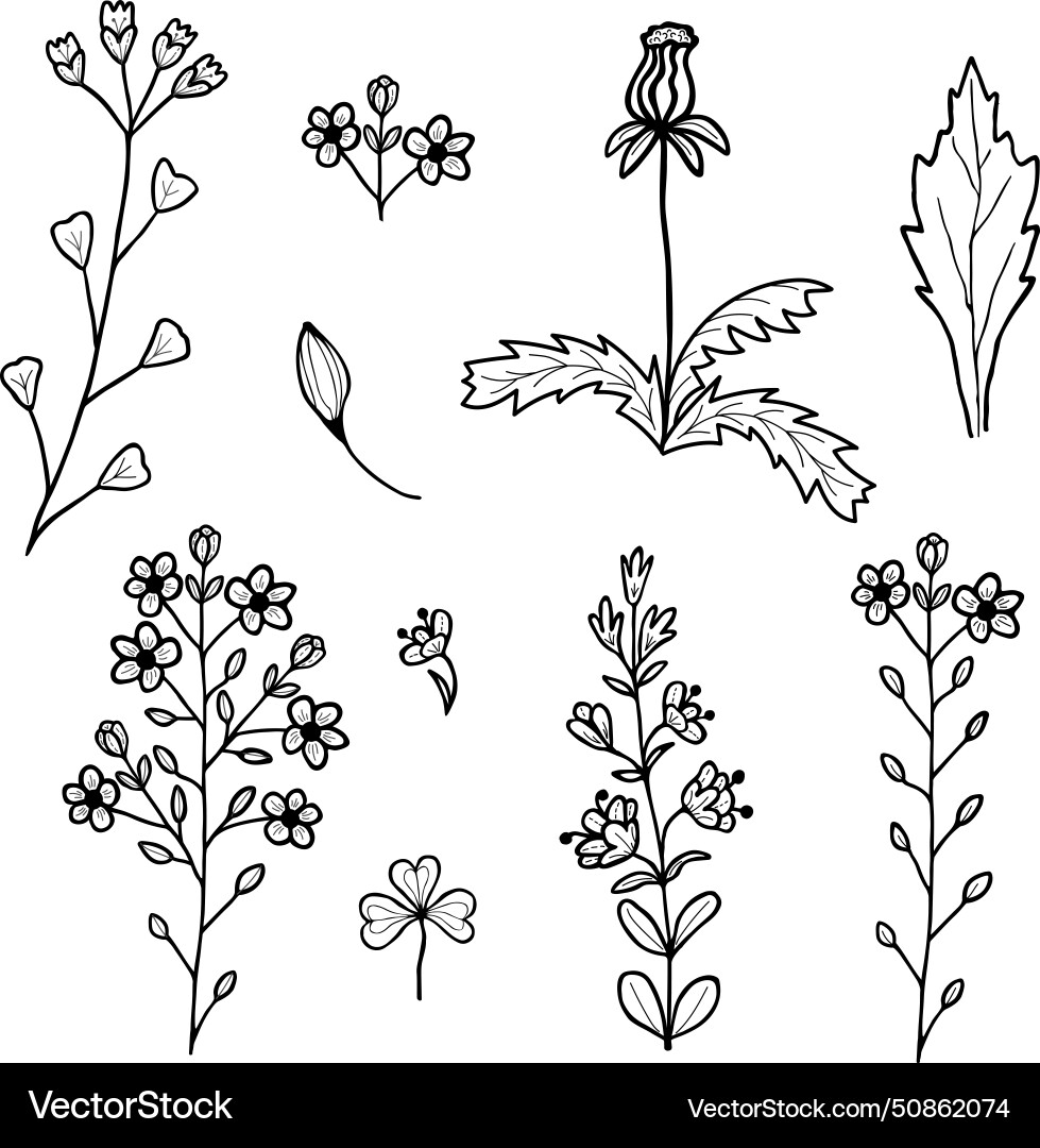 Hand drawn flowers and branches doodle Royalty Free Vector