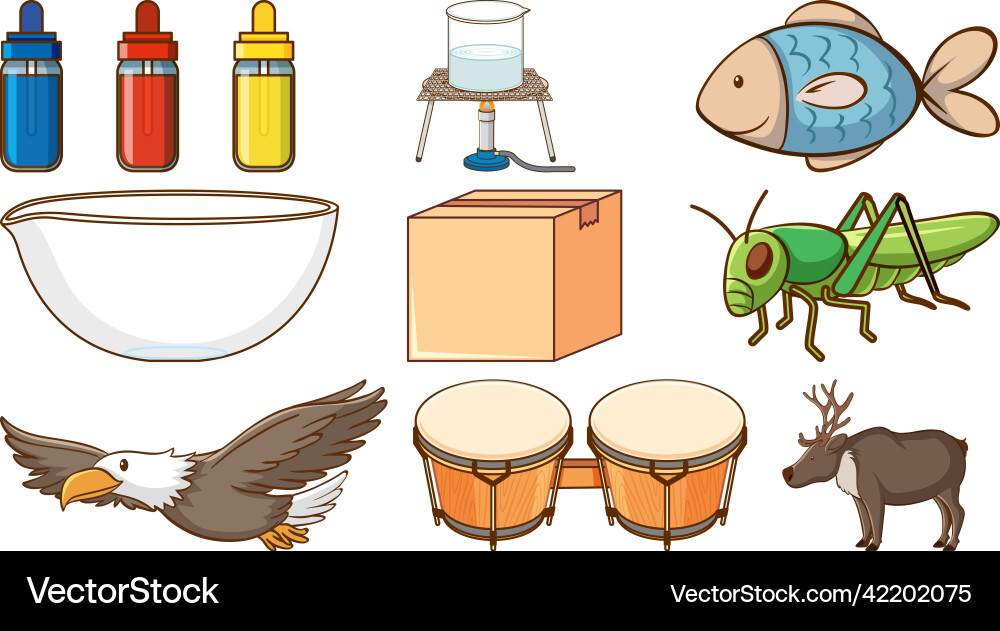 Cute animals and other items on white background Vector Image