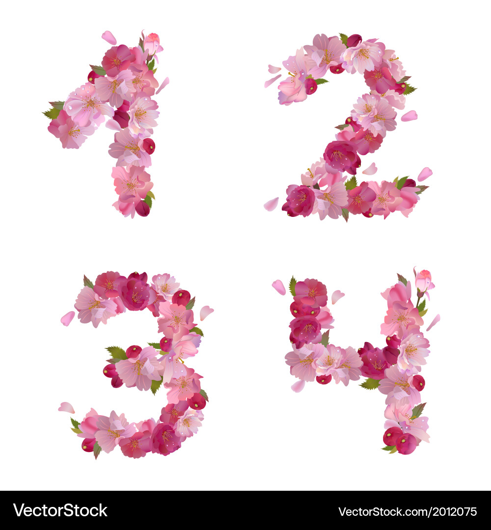 Spring font from cherry flowers figures 1234 Vector Image