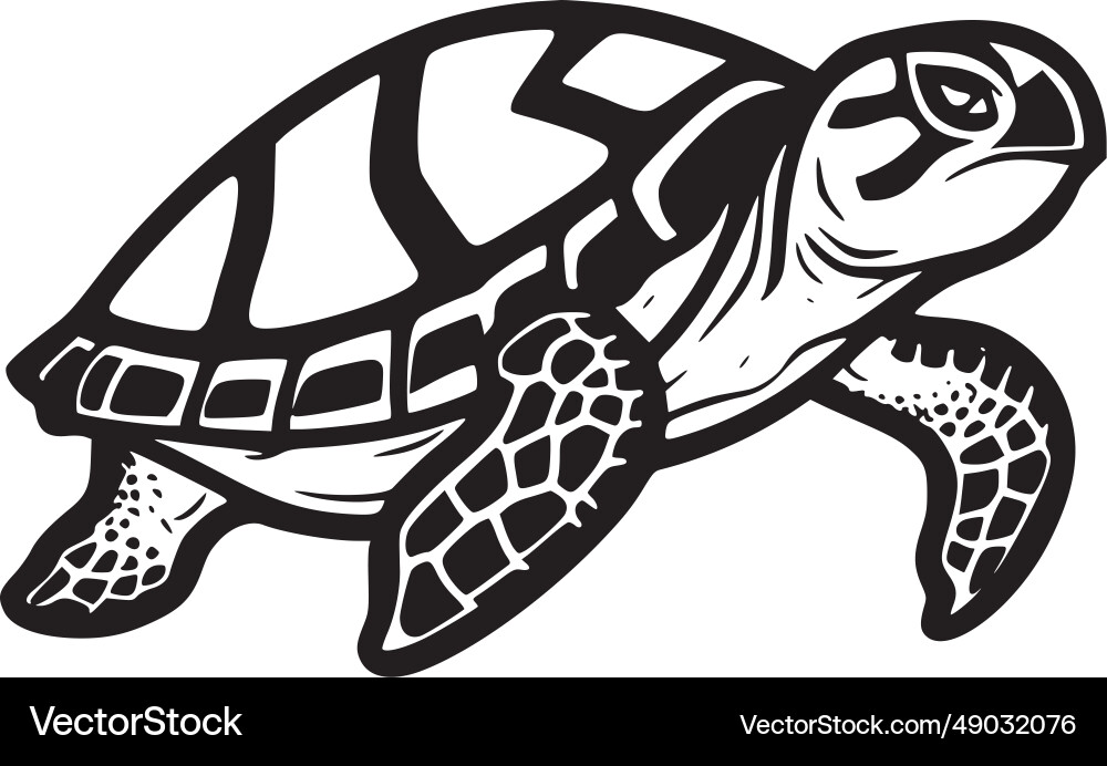 Turtle - high quality logo ideal for t-shirt Vector Image