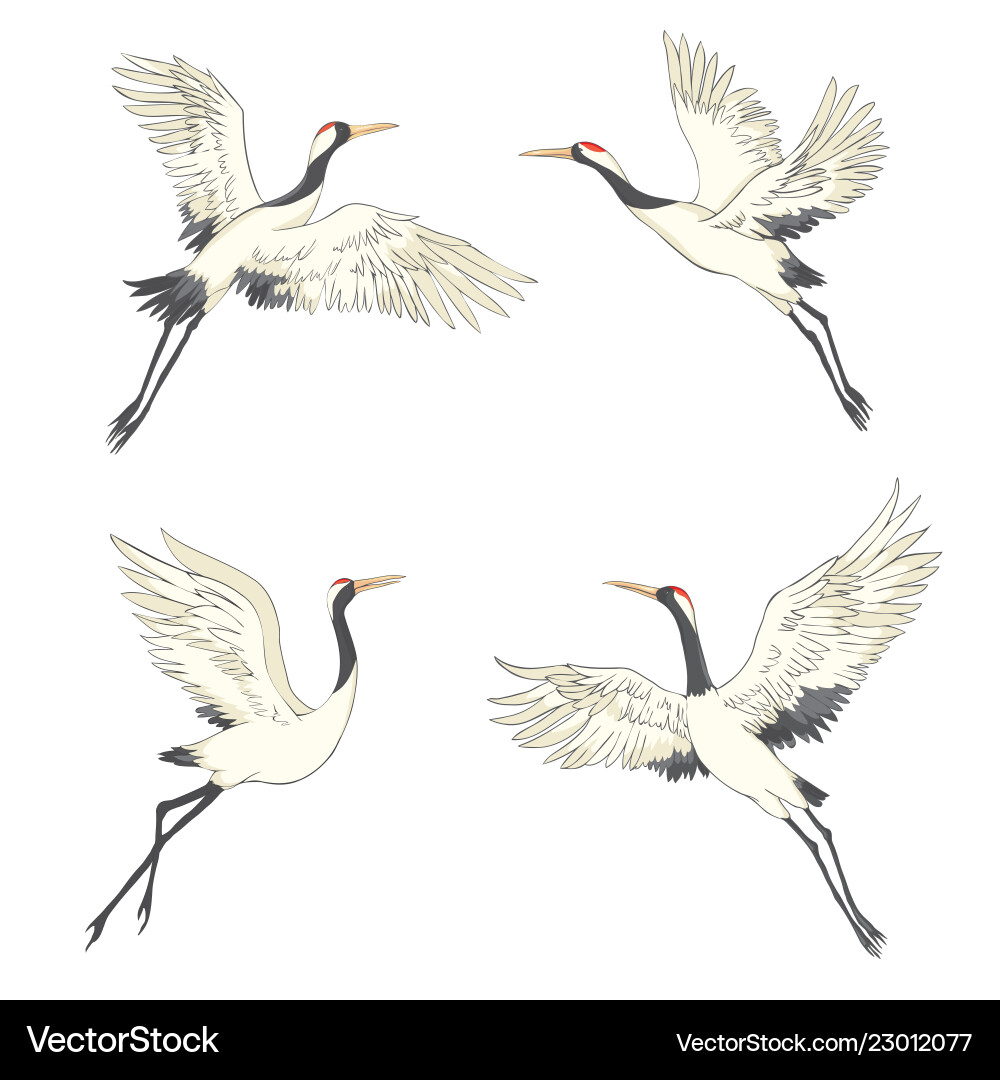 Crane a bird in flight design element Royalty Free Vector