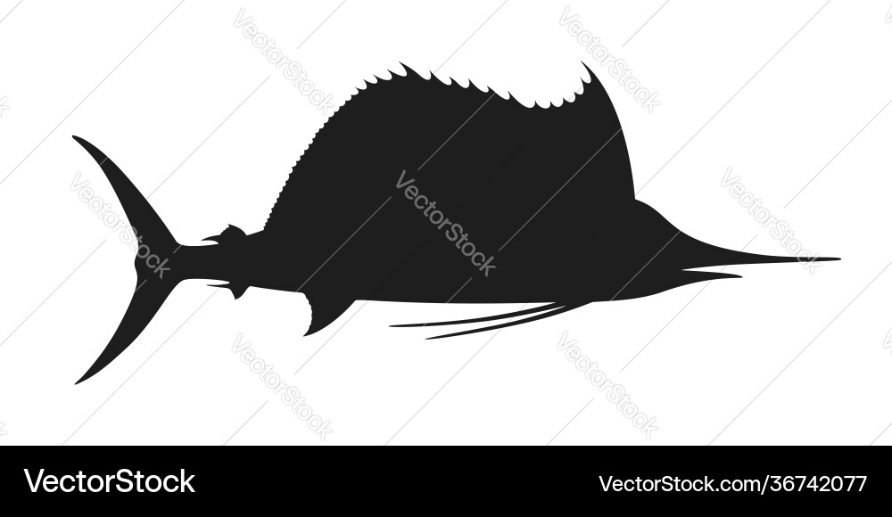 Sailfish Icon - Marine Wildlife Royalty Free Vector Image