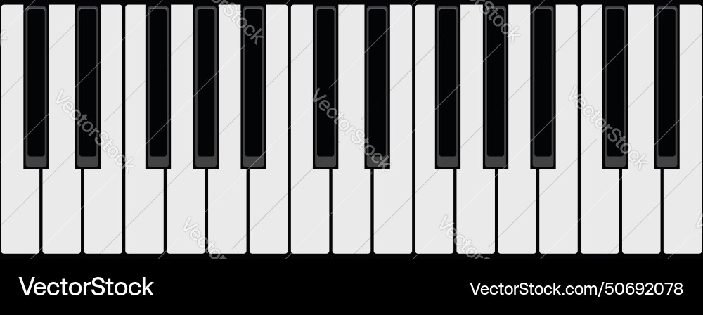 Piano keys realistic keyboard Royalty Free Vector Image