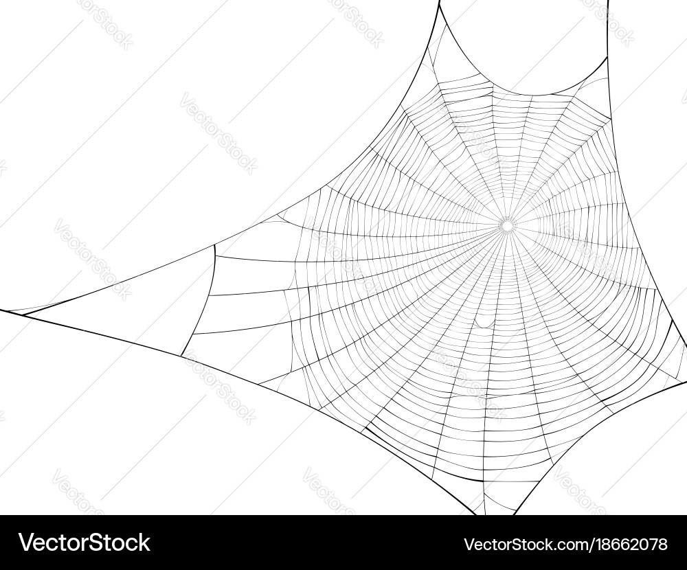 Spider Web Silhouette Royalty Free Vector Image