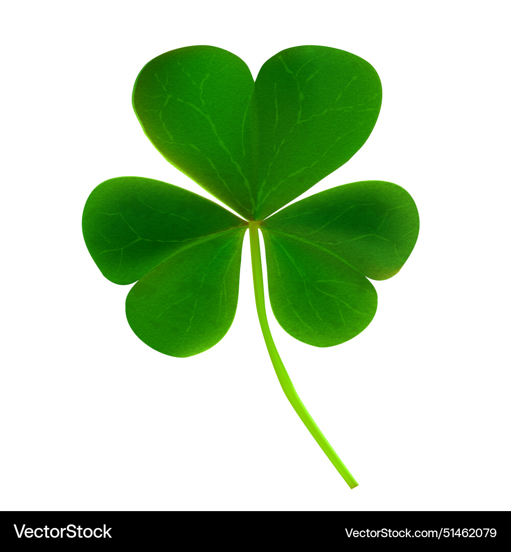 3d realistic green shamrock leaf isolated on white