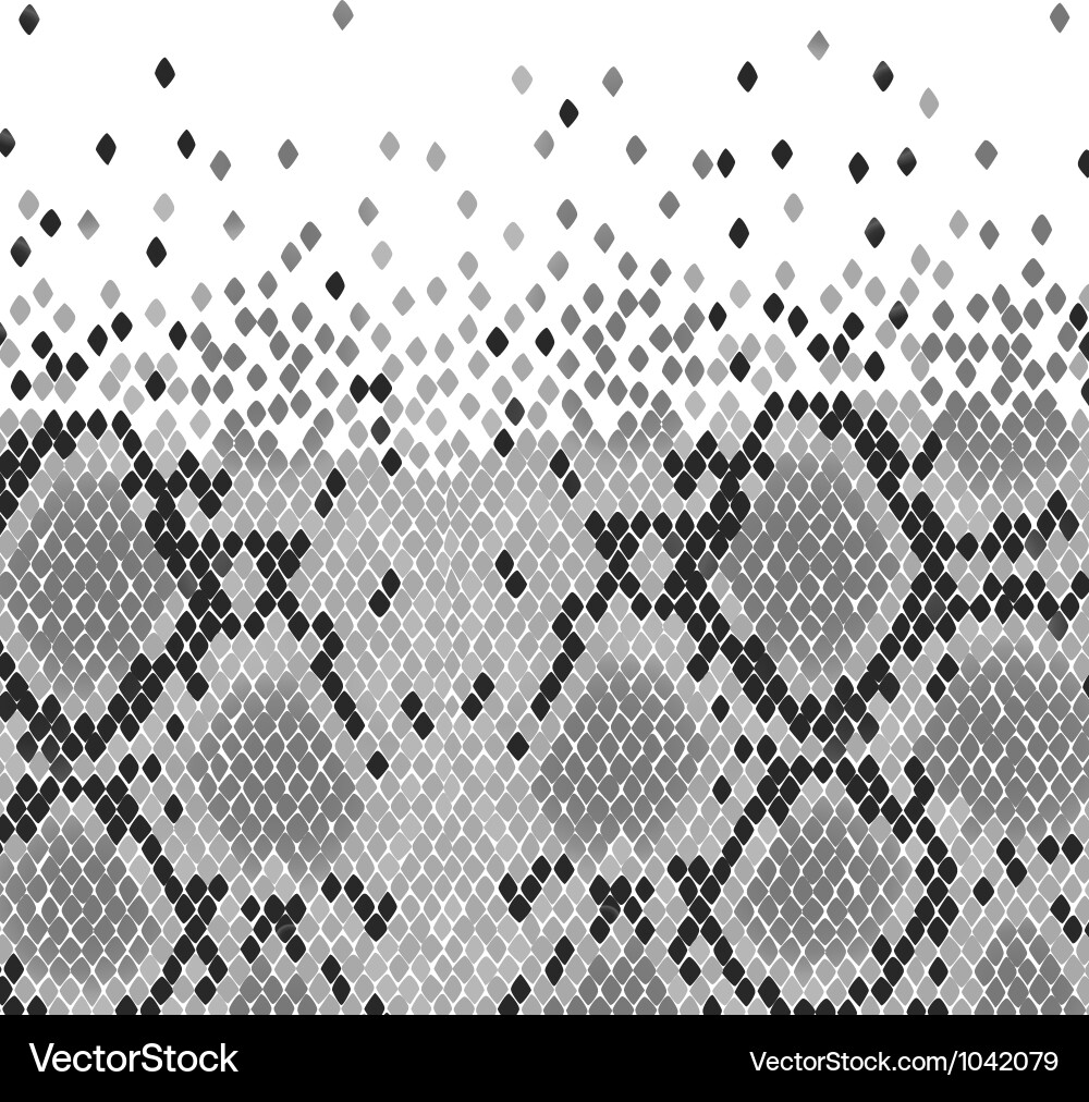 Gray Snake Skin Pattern – Royalty-Free Vector | VectorStock